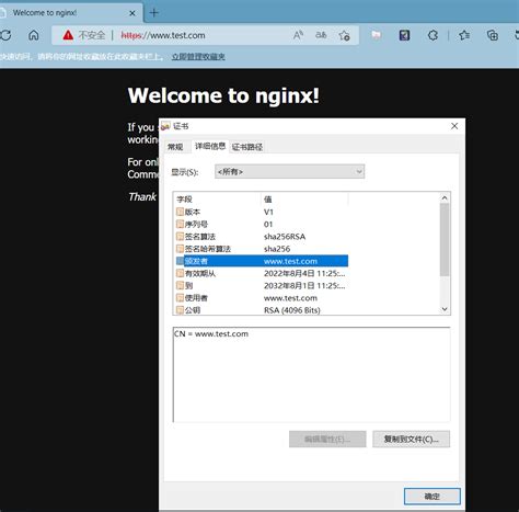 基于Secret实现nginx的tls认证私有仓库认证 PunchLinux 博客园