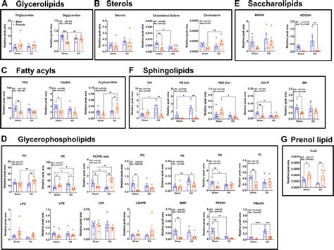 Sex Differences In The Lipid Profiles Of Visceral Adipose Tissue With