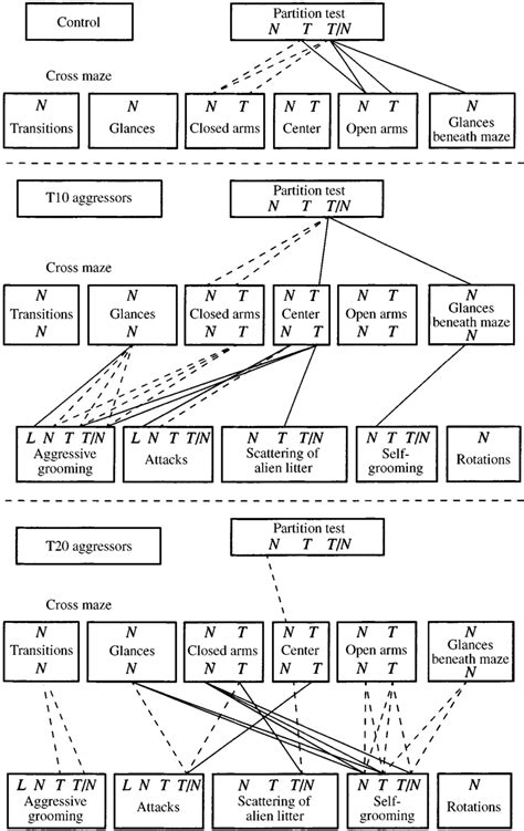 Significant Correlations Between Behavioral Parameters In The Partition Download Scientific