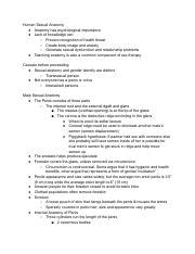 Understanding Human Sexual Anatomy Importance Knowledge Gaps Course Hero