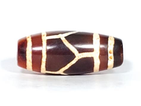 Antique Tortoise Shell Motif Carnelian Dzi Cz003 Ancient Dzi Shop