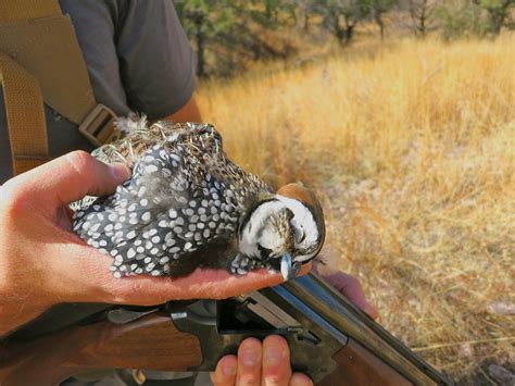 A Shot At The Slam Arizona WanderingsArizona Wanderings