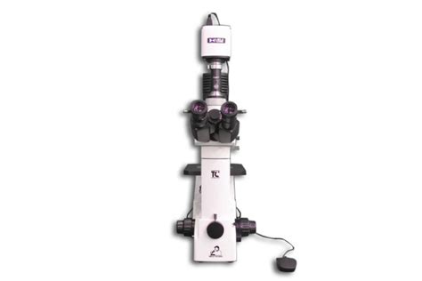 Biological Compound Upright And Inverted Microscope For Life Science Research And Education Live