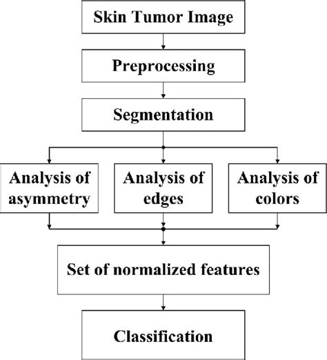 Flow Diagram For Automatic Classification Images Based On Classical Download Scientific Diagram