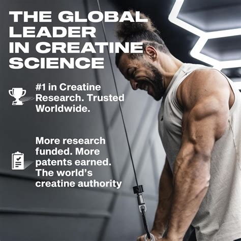 Muscletech Platinum 100 Creatine Monohydrate 400 Grams Nutrition