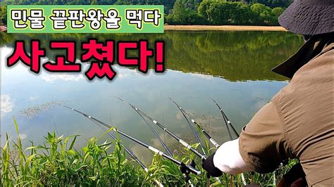 레전드 수십만원 짜리 술안주 잡자마자 차에서 먹는 여행 민물의 끝판왕을 잡다 자급자족 차박여행 Youtube