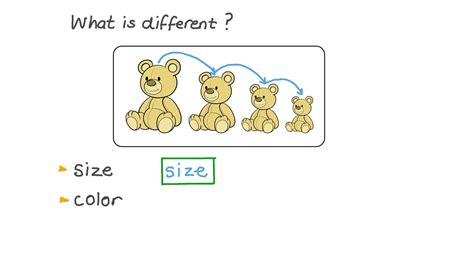 Question Video Describing Measurable Attributes Of Objects Nagwa