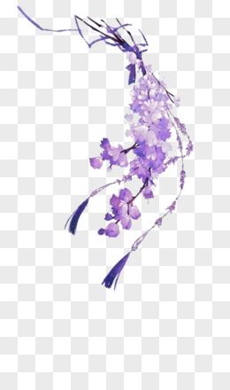紫藤花图片素材 免费紫藤花PNG设计图片大全 图精灵