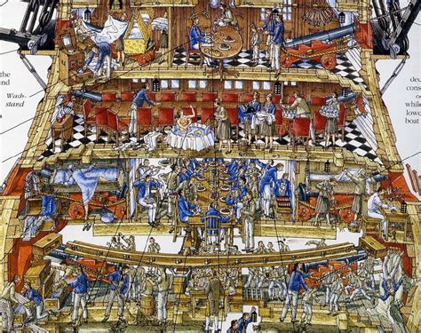 Incredible Cross Sections Gallery EBaum S World