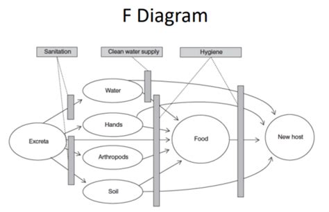 L3 Agents Of Disease And Their Environmental Classification