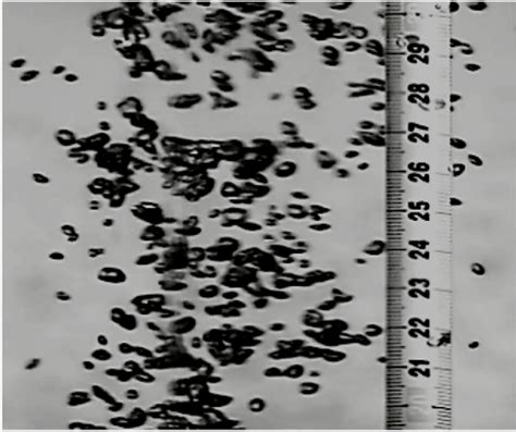 Figure 1 From Characterization Of The Mixing Flow Structure Of Molten