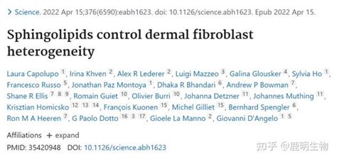 空间代谢组学（空间质谱成像）如何联动揭秘真皮纤维细胞异质性？ 知乎