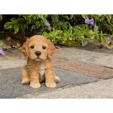 Hi Line T Ltd Sitting Cockapoo Puppy Statue And Reviews Wayfair