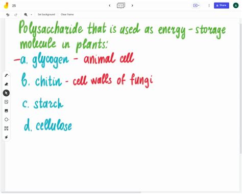 Polysaccharides Are Used For What