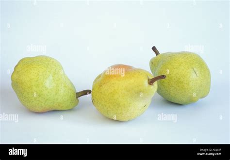 3 Pere Immagini E Fotografie Stock Ad Alta Risoluzione Alamy