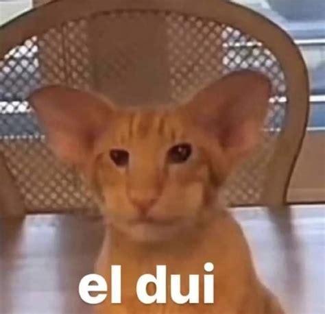 Top Memes De Dui En Español Memedroid
