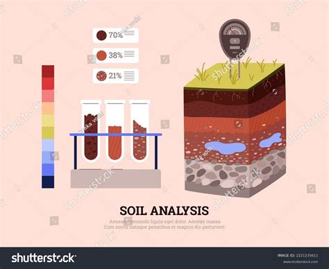 Insects Soil Images Stock Photos Vectors Shutterstock