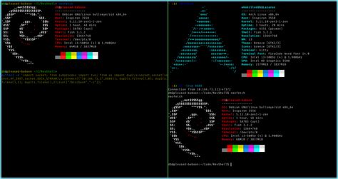 Coding A Reverse Shell In Python In 10 Lines Or Less Linuxfordevices