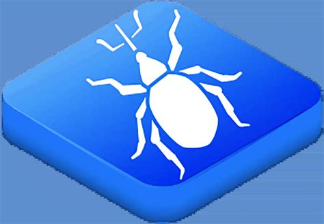 Weevil Pest Control Keep Pantry Pests Out Of Your Home Us Pest Protection