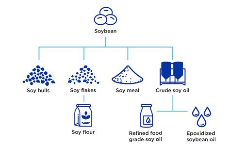 Advanced Soybean Processing Capabilities Chs Inc