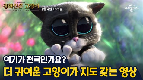 [장화신은 고양이 끝내주는 모험] 더 귀여운 고양이가 지도 갖는 영상 Youtube