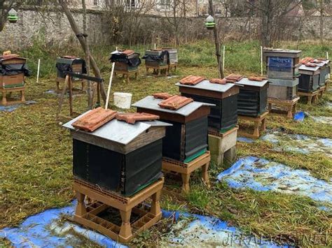 How To Monitor A Beehive With Arduino Nano 33ble Bluetooth