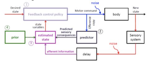 V09 Ncmml Sensorimotor Learning And Memories Motor Learning Ii
