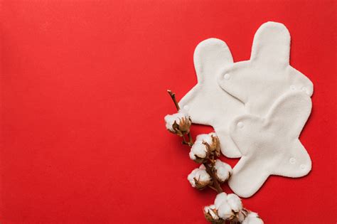 면화 꽃과 화려한 밝은 재사용 가능한 생리대 세트 제로 폐기물 여성 기간 복사 공간이있는 개념 탑 뷰 0명에 대한 스톡 사진 및 기타 이미지 Istock