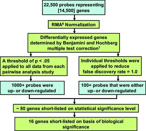 Flowchart Representing The Steps Taken To Analyze Gene Expression Data Download Scientific
