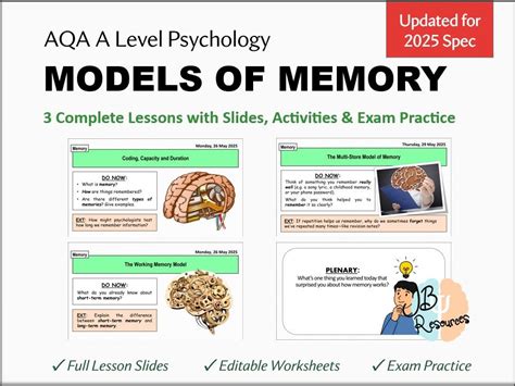 Models Of Memory Mini Bundle Aqa A Level Psychology Memory Updated