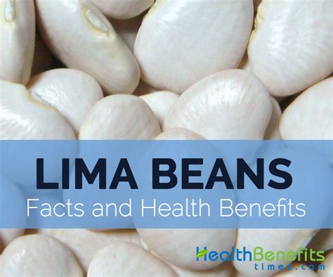 Lima Bean Facts Health Benefits And Nutritional Value