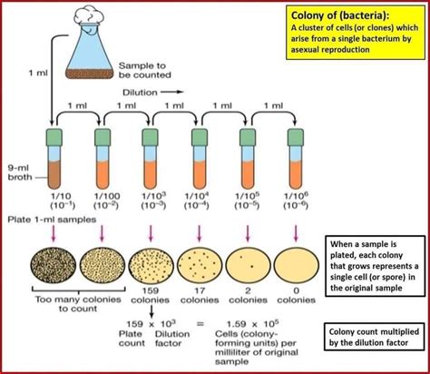 Pin By Andres Sanchez On Microbiology Teaching Biology Medical Laboratory Science Science