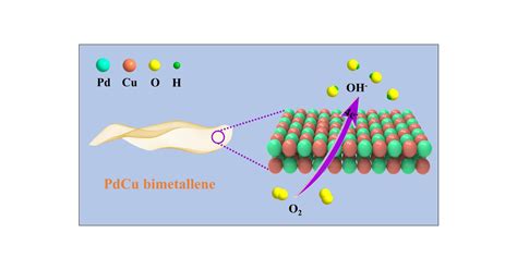 Pdcu Bimetallene For Enhanced Oxygen Reduction Electrocatalysis
