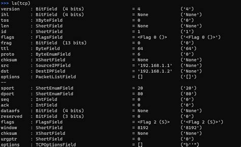 Scapy编程指南（基础概念） Csdn博客