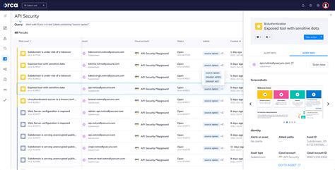 Api Security Company And Services Orca Security