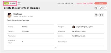 Working With Issues Users Guide Backlog Enterprise Help Guide