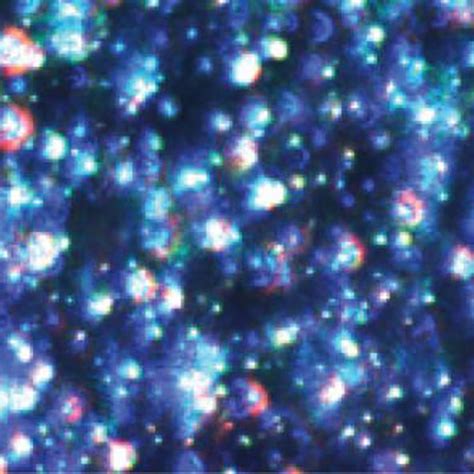 Protein Aggregation Application Note Meritics