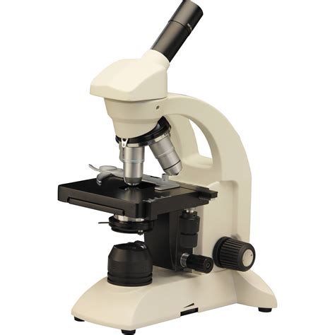 Compound Light Microscope Optics Magnification And Uses Shelly Lighting