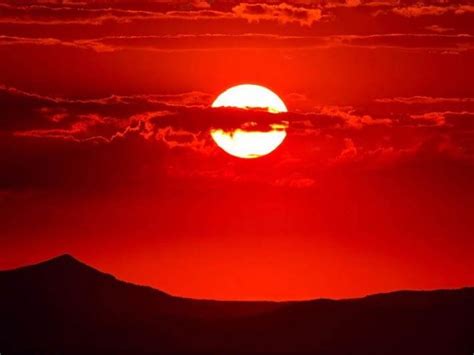 Kenji Chisuke Wiki My Hero Academia Amino