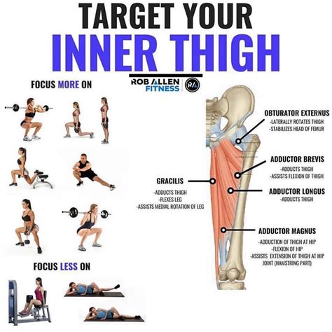 Adductor Stretches