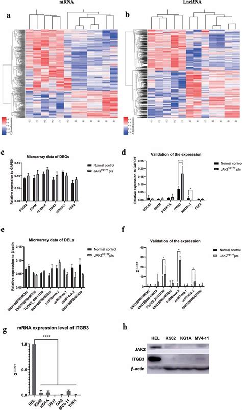 The Lncrna And Mrna Expression Profiles Of 12 Samples Six Download Scientific Diagram