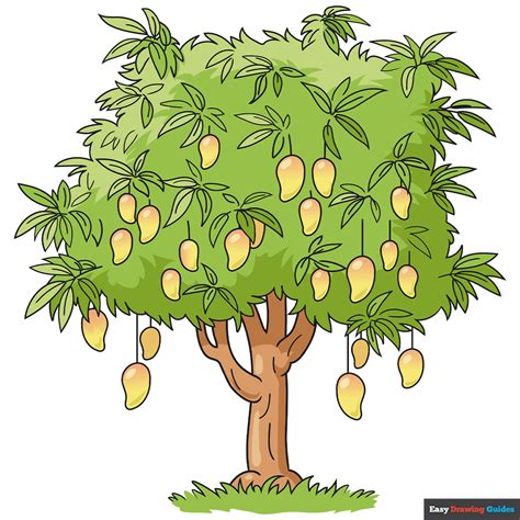 Mango Tree Images Graphics How To Mango Tree Drawing Mango Tree For