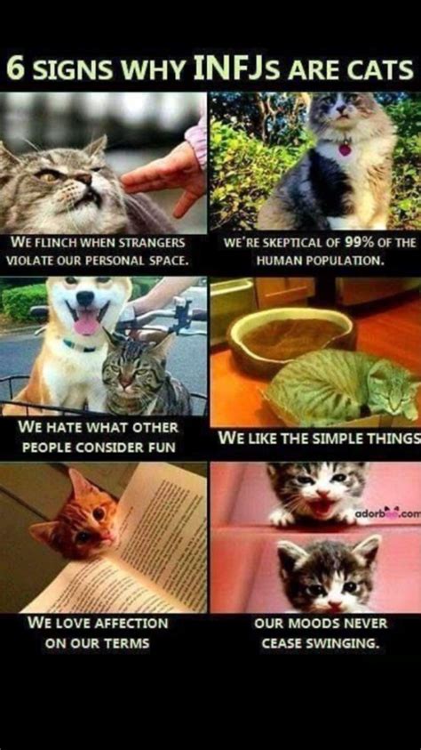 Infj Ni Ti Loop Artofit