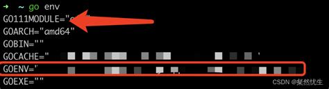 Goland踩坑系列——goland的go Mod配置不生效的问题为什么go Mod 没有用 Csdn博客