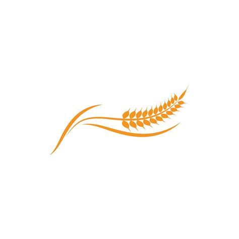 Wheat Illustration Design Grain Symbol Food Vector Grain Symbol Food