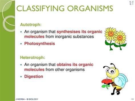 Species Communities And Ecosystems Ppt Download