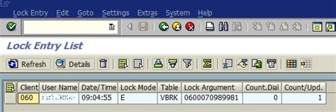 List Locks In Sap System Using Sm12 Transaction Code