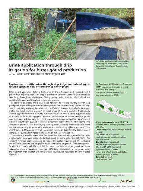 Urine Application Through Drip Irrigation For Bitter Gourd Production