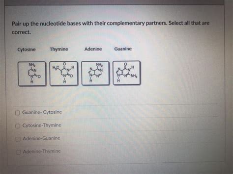 Solved Pair Up The Nucleotide Bases With Their Complementary