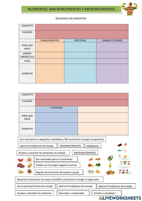 Nutrientes Macronutrientes Y Micronutrientes Worksheet In 2025